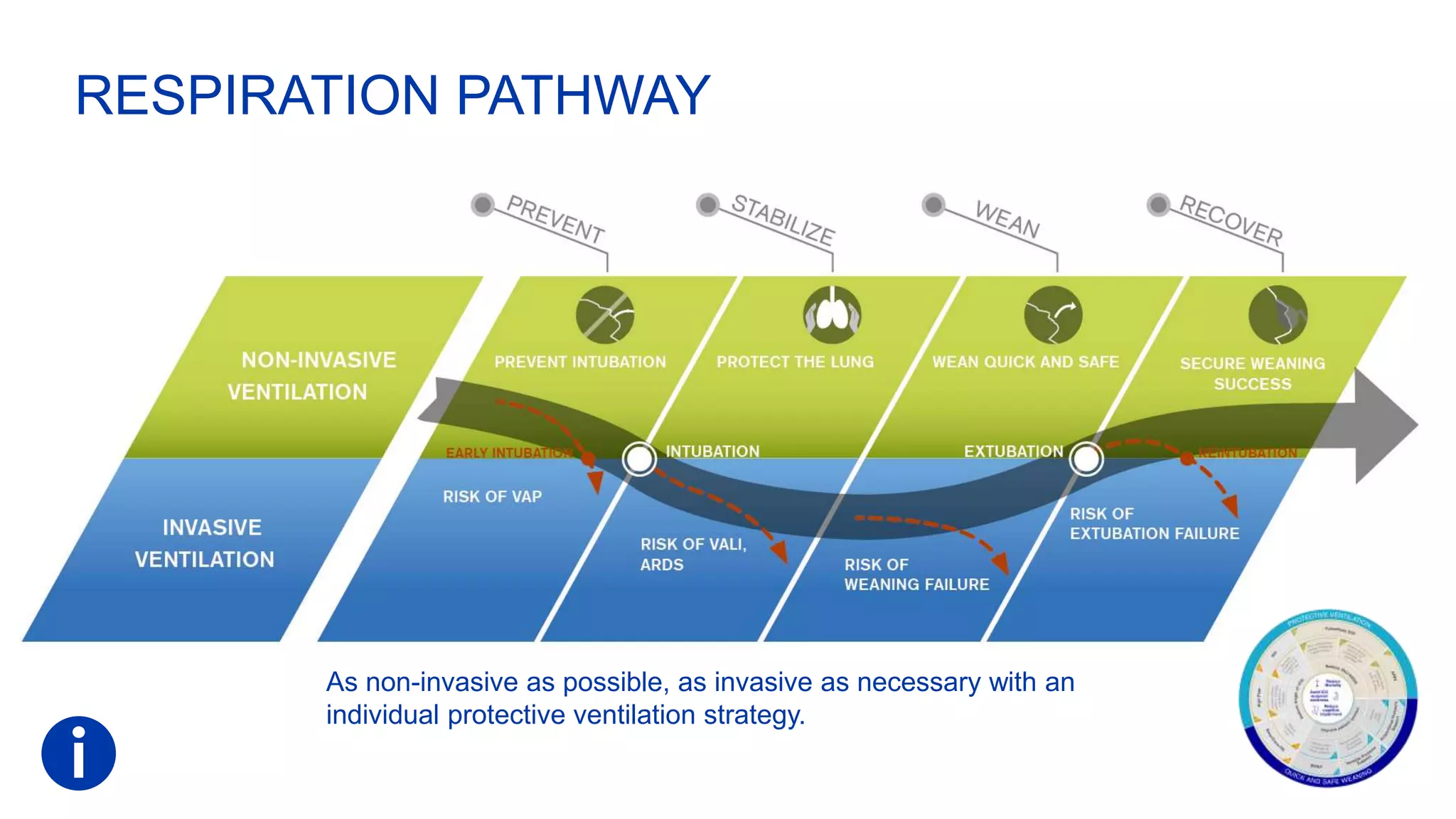 Respiration Pathway_Dräger Ventilation Story (1).pptx