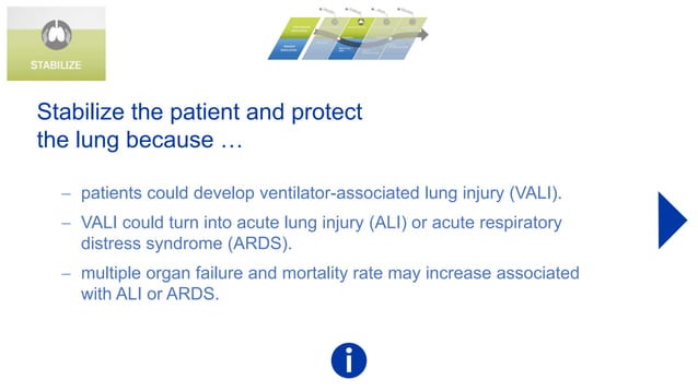 Respiration Pathway_Dräger Ventilation Story (1).pptx | First Aid ...