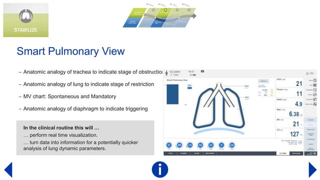 Respiration Pathway_Dräger Ventilation Story (1).pptx | First Aid ...