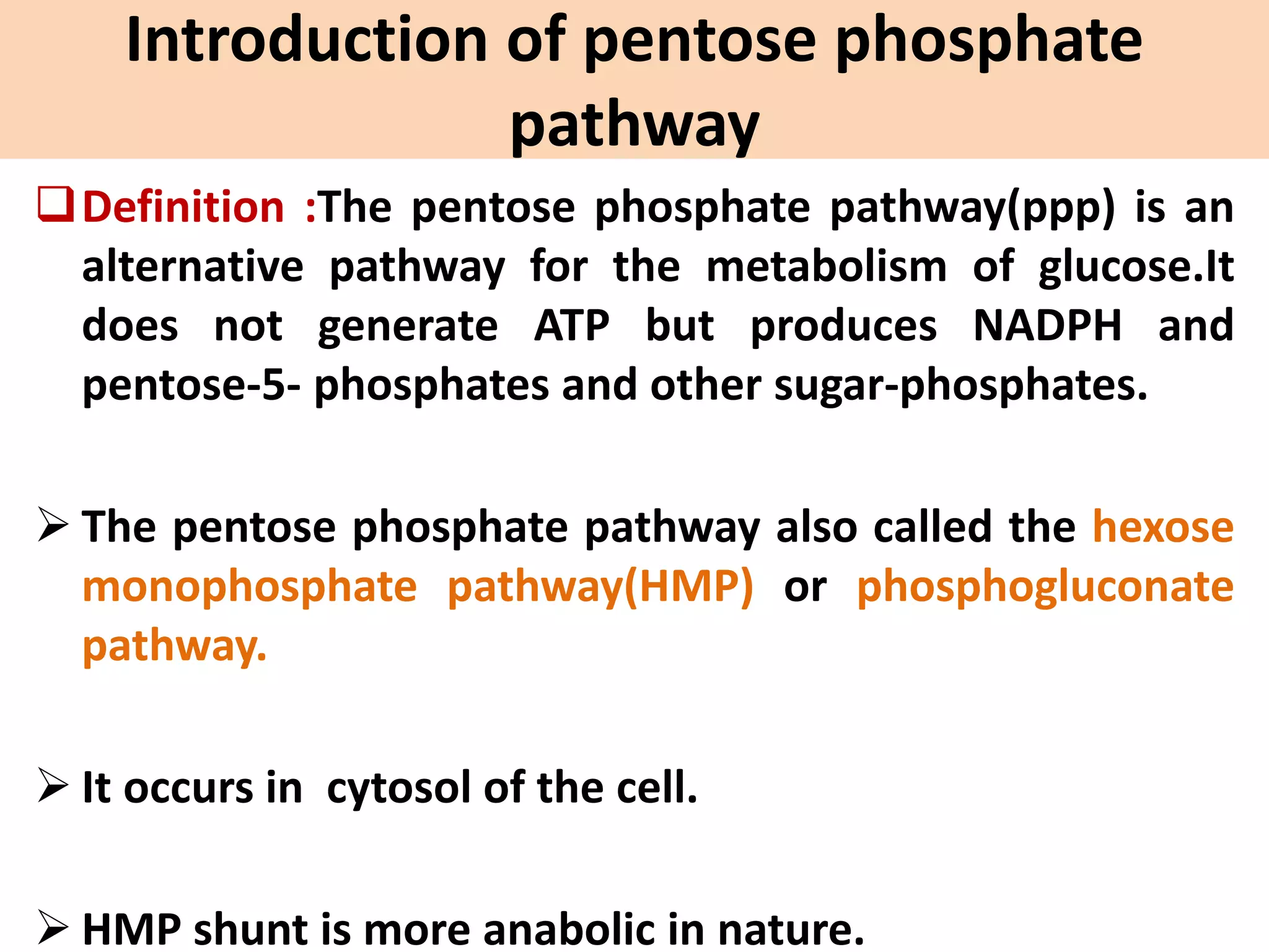 Respiration Andpentose Phosphate Pathway Pptx Lung And Respiratory Health Diseases And