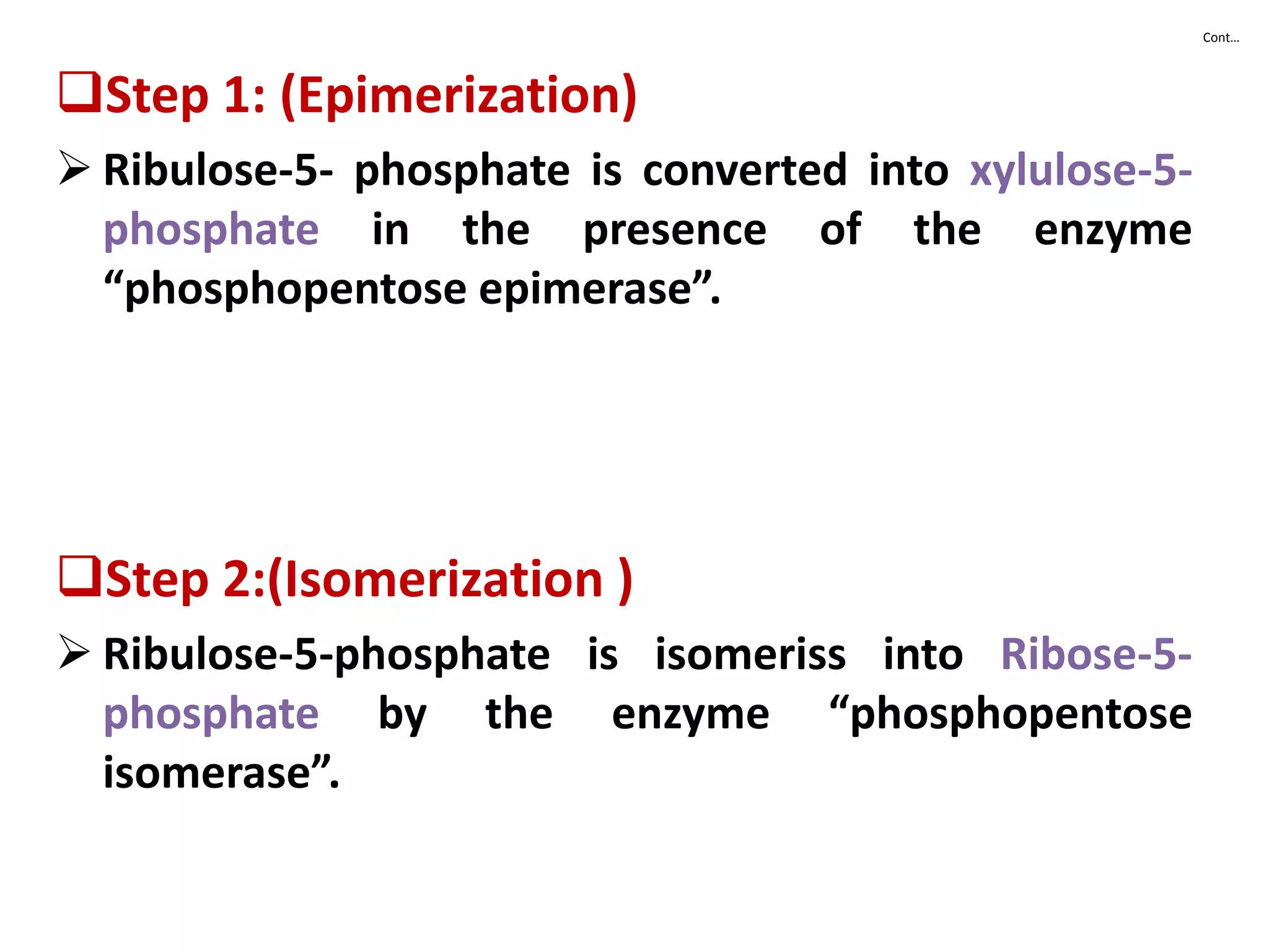 Respiration &pentose phosphate pathway | PPTX | Lung and Respiratory ...