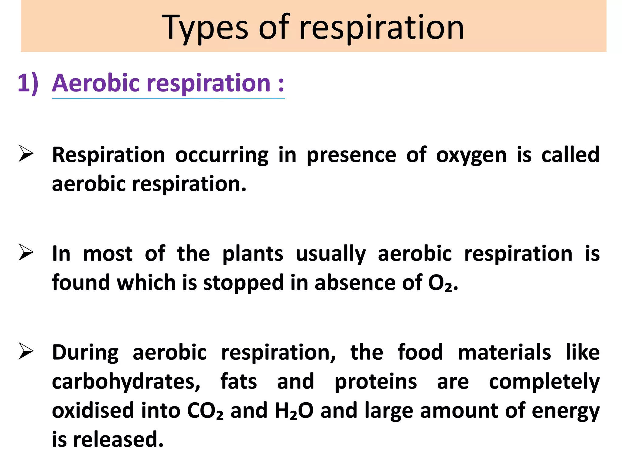 Respiration &pentose phosphate pathway | PPTX