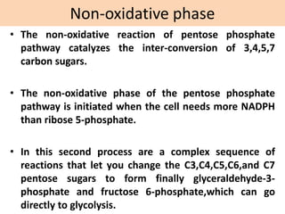 Respiration &pentose phosphate pathway | PPTX