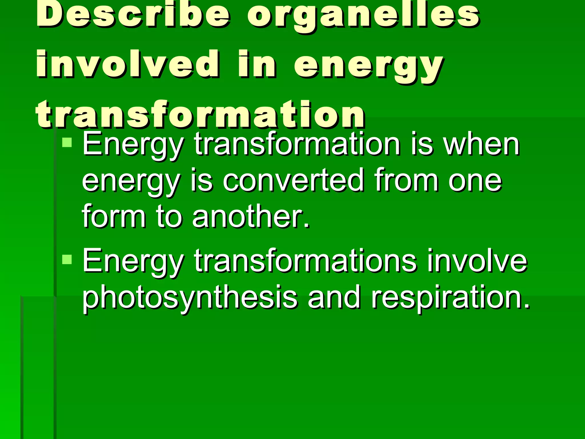 Respiration & photosynthesis | PPT | Chemistry | Science
