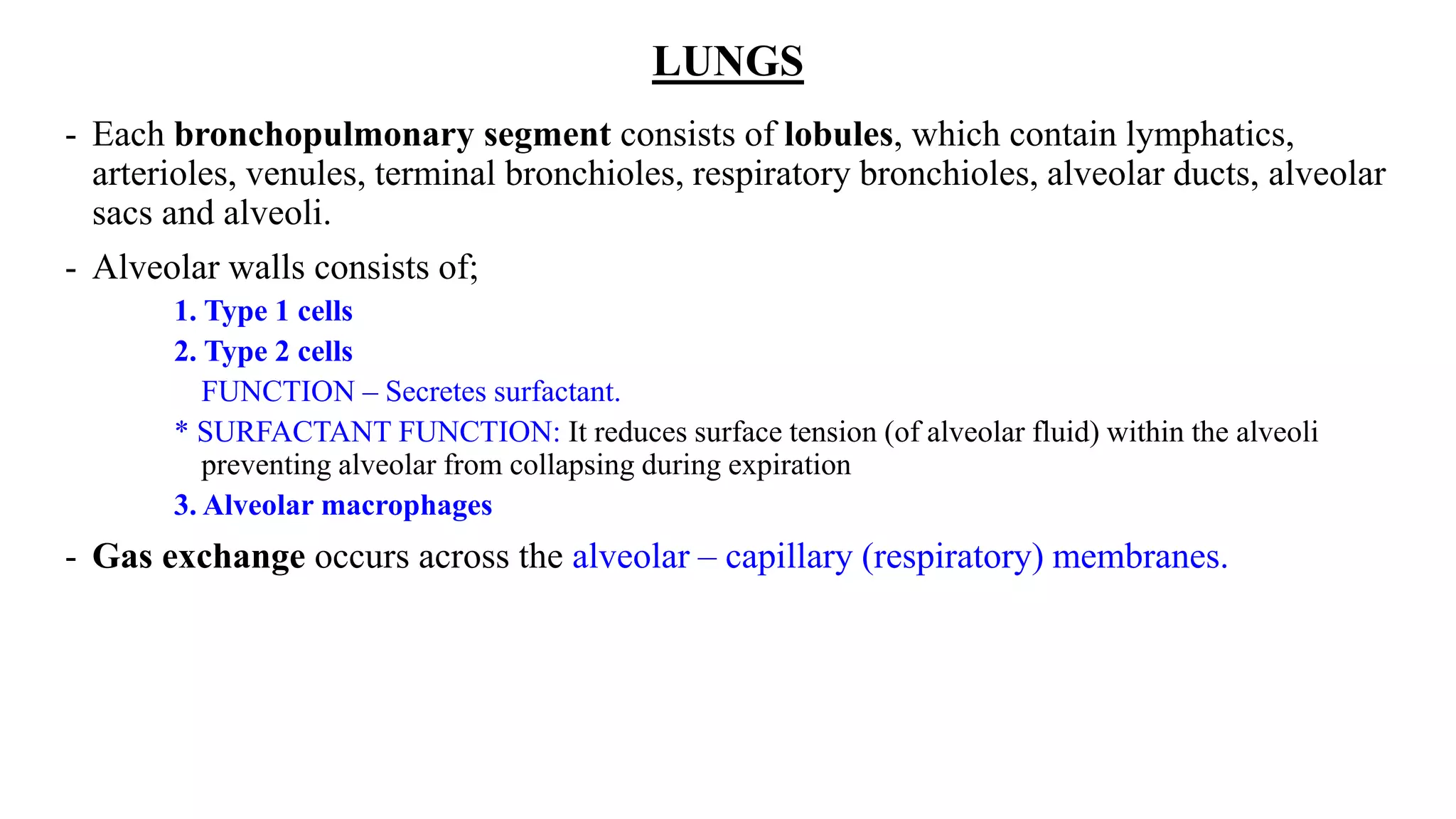 Respiration Physiology-Respiratory System | PPTX