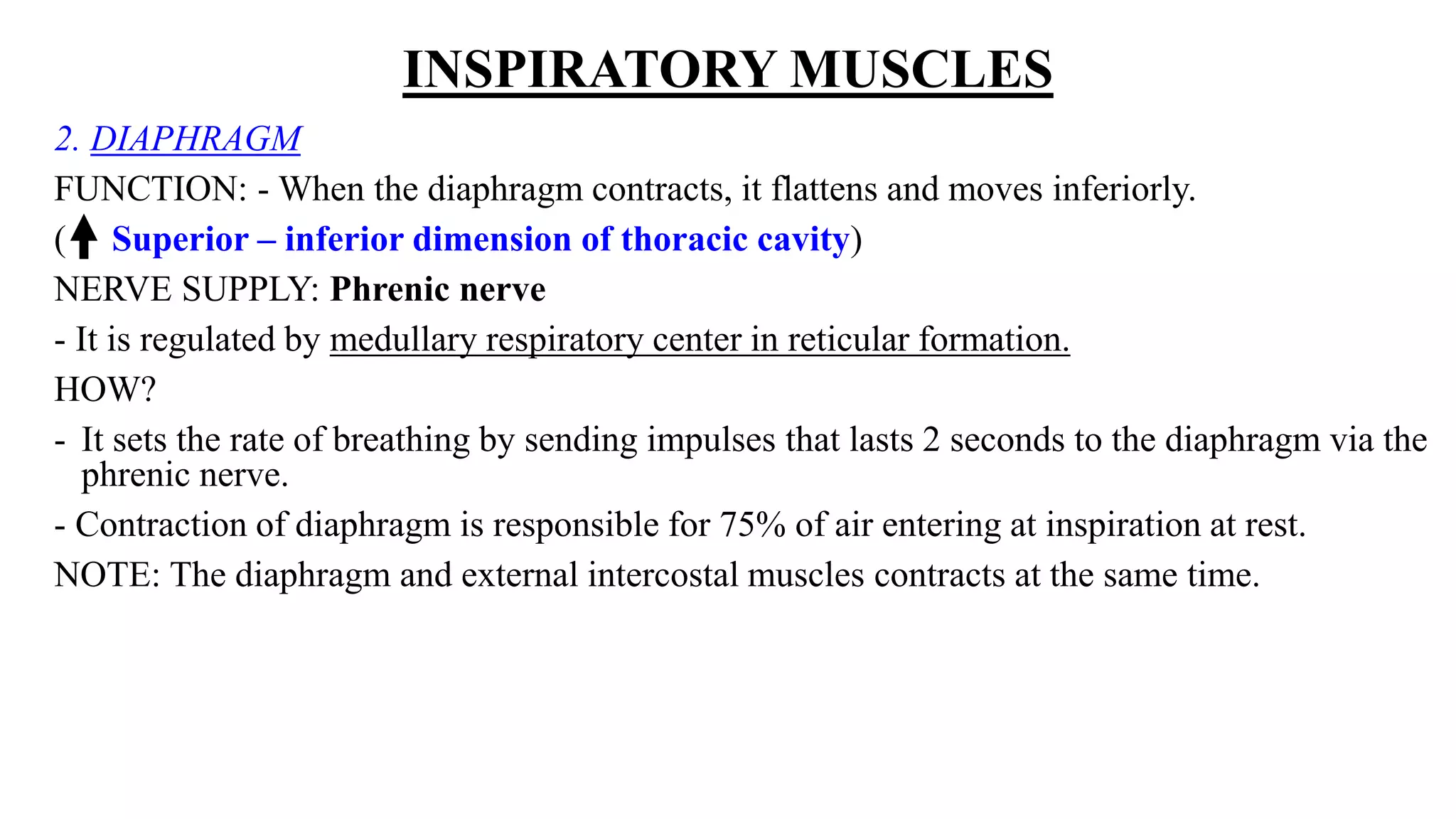 Respiration Physiology-Respiratory System | PPTX