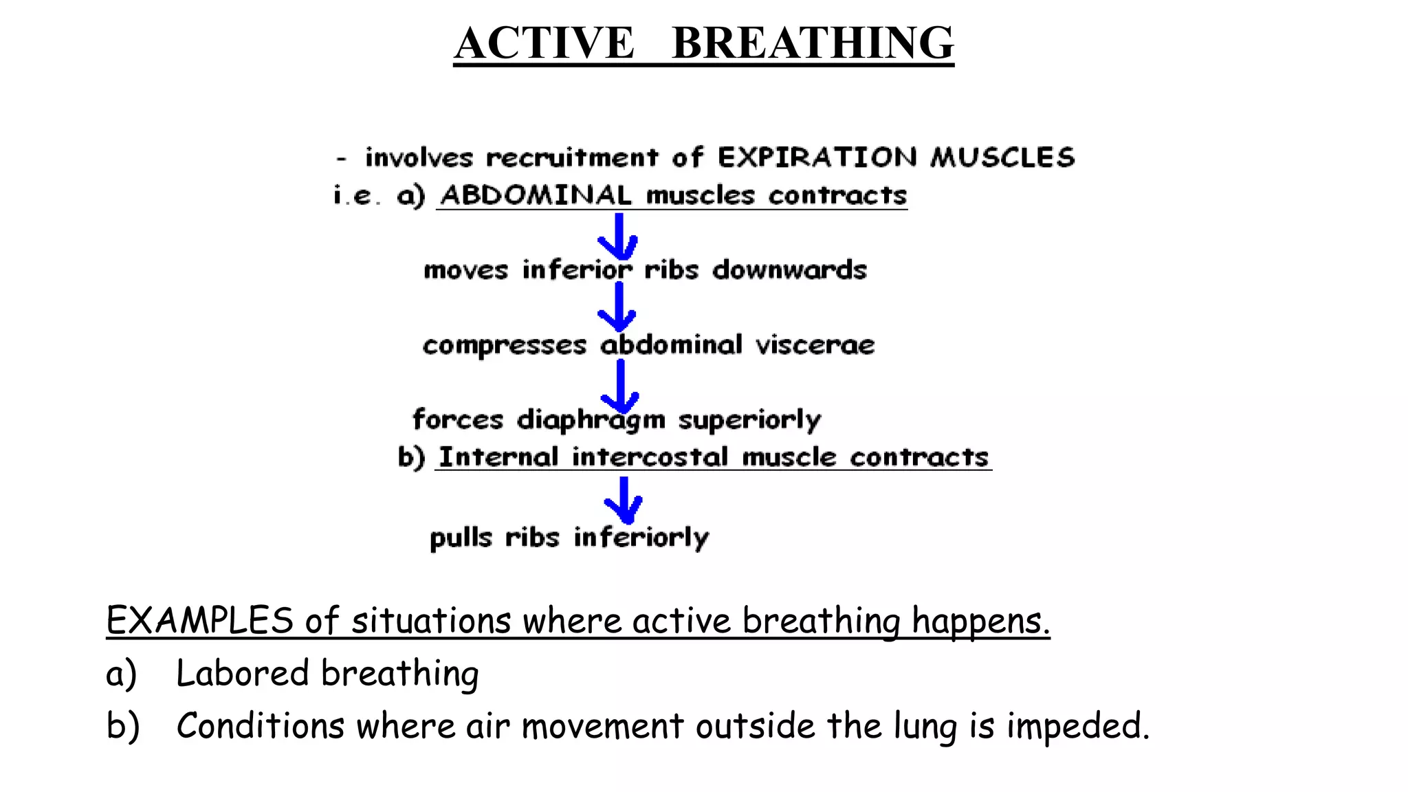 Respiration Physiology-Respiratory System | PPTX