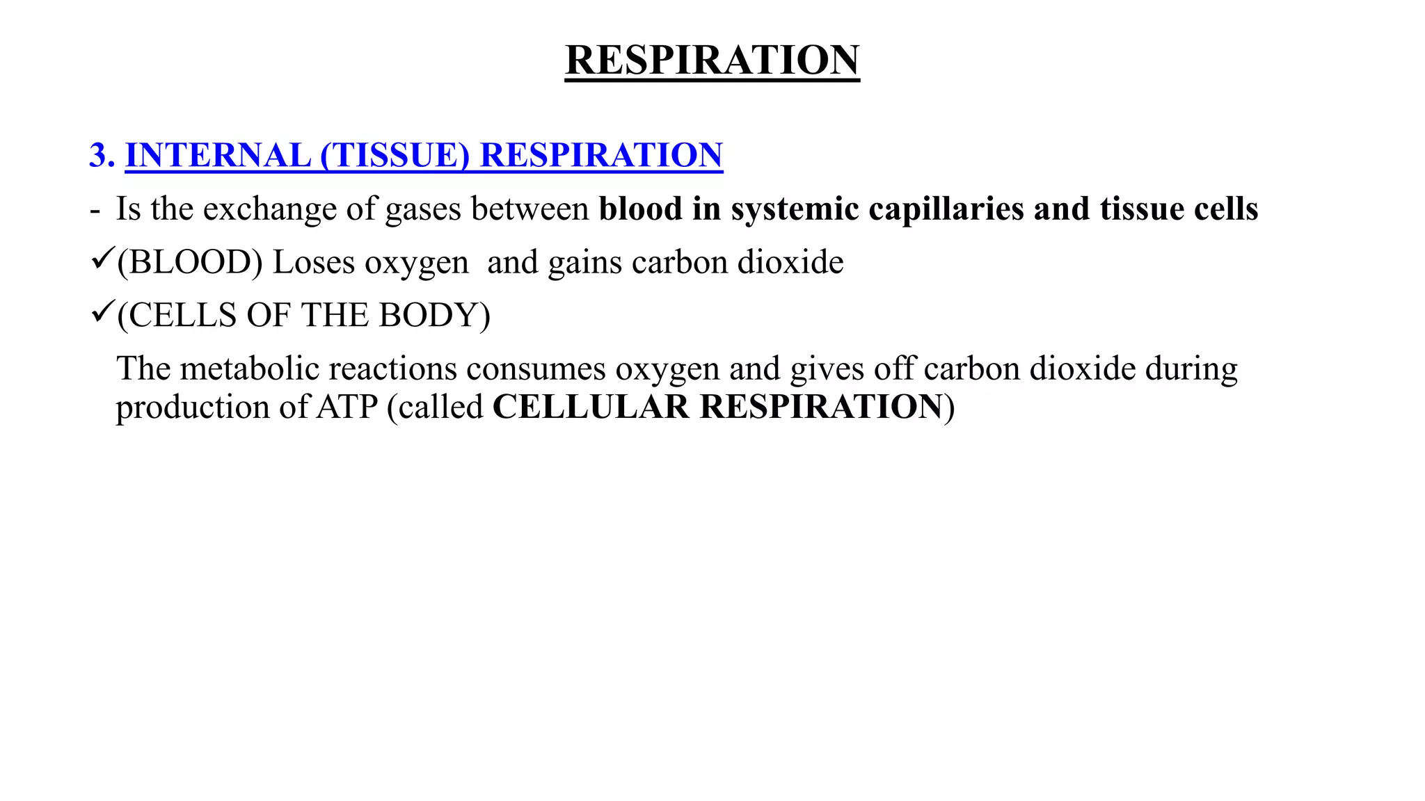 Respiration Physiology-Respiratory System | PPTX