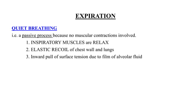Respiration Physiology-Respiratory System | PPTX