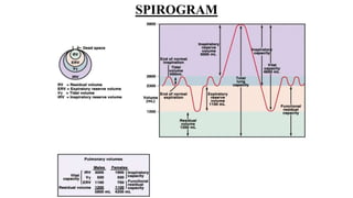 Respiration Physiology-Respiratory System | PPTX