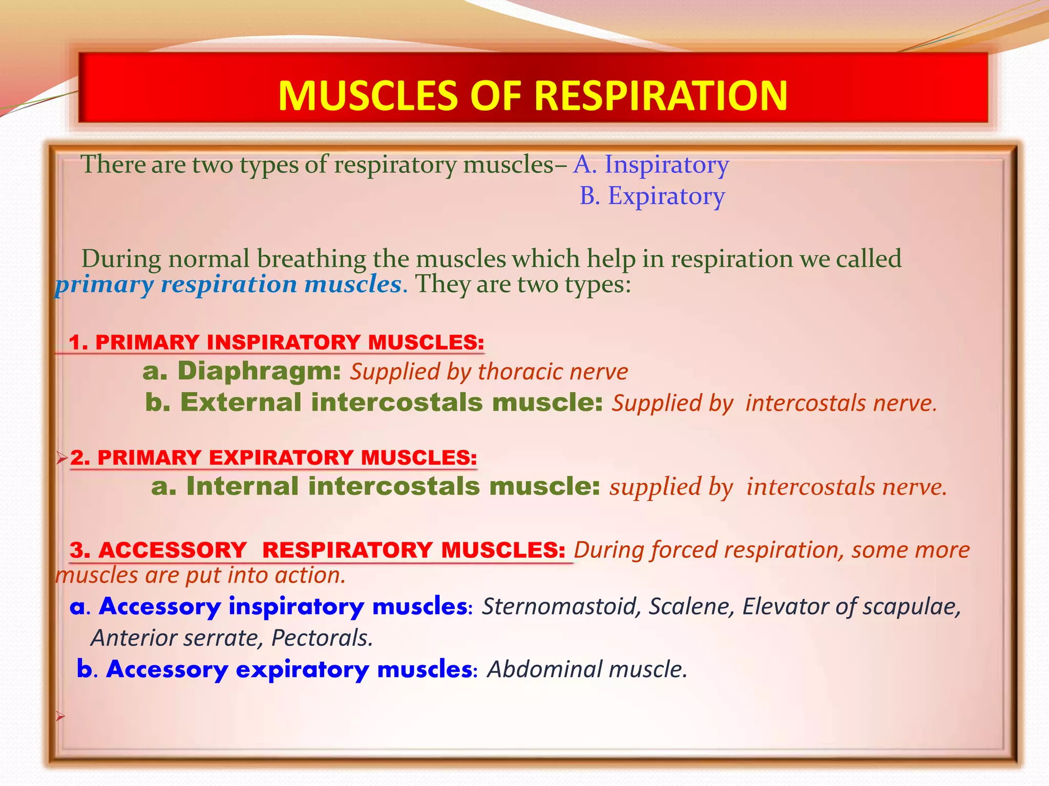 Mechanism of breathing | PPTX