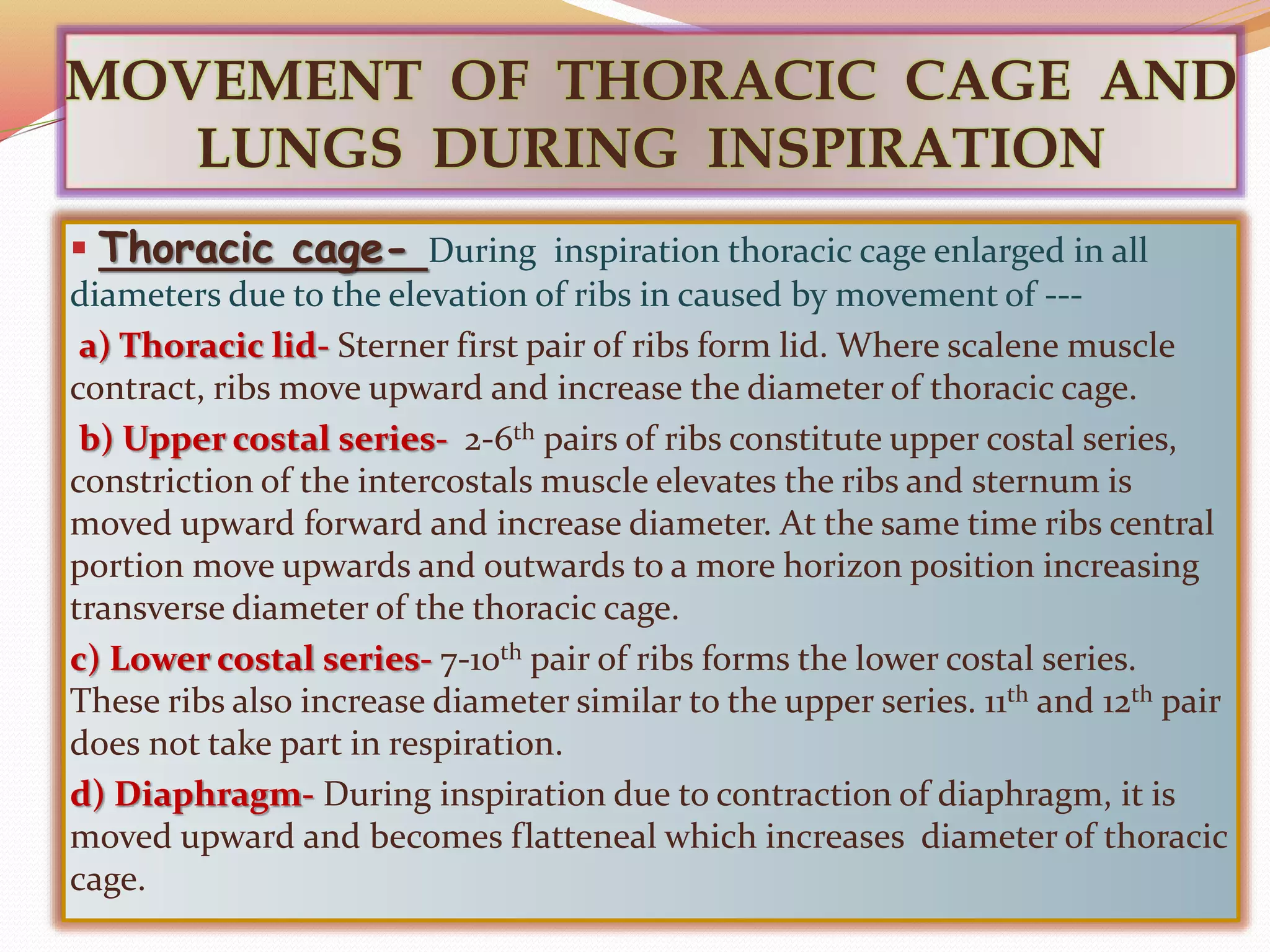Mechanism of breathing | PPTX