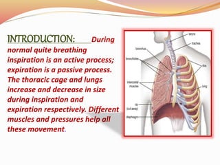 Mechanism of breathing | PPTX