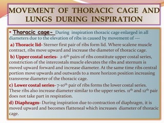 Mechanism of breathing | PPT