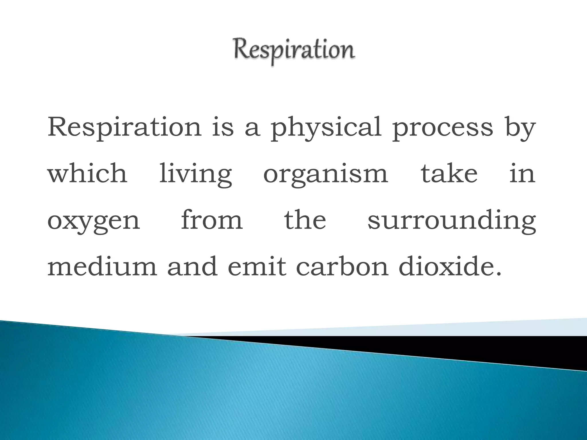 Respiration ppt | PPT