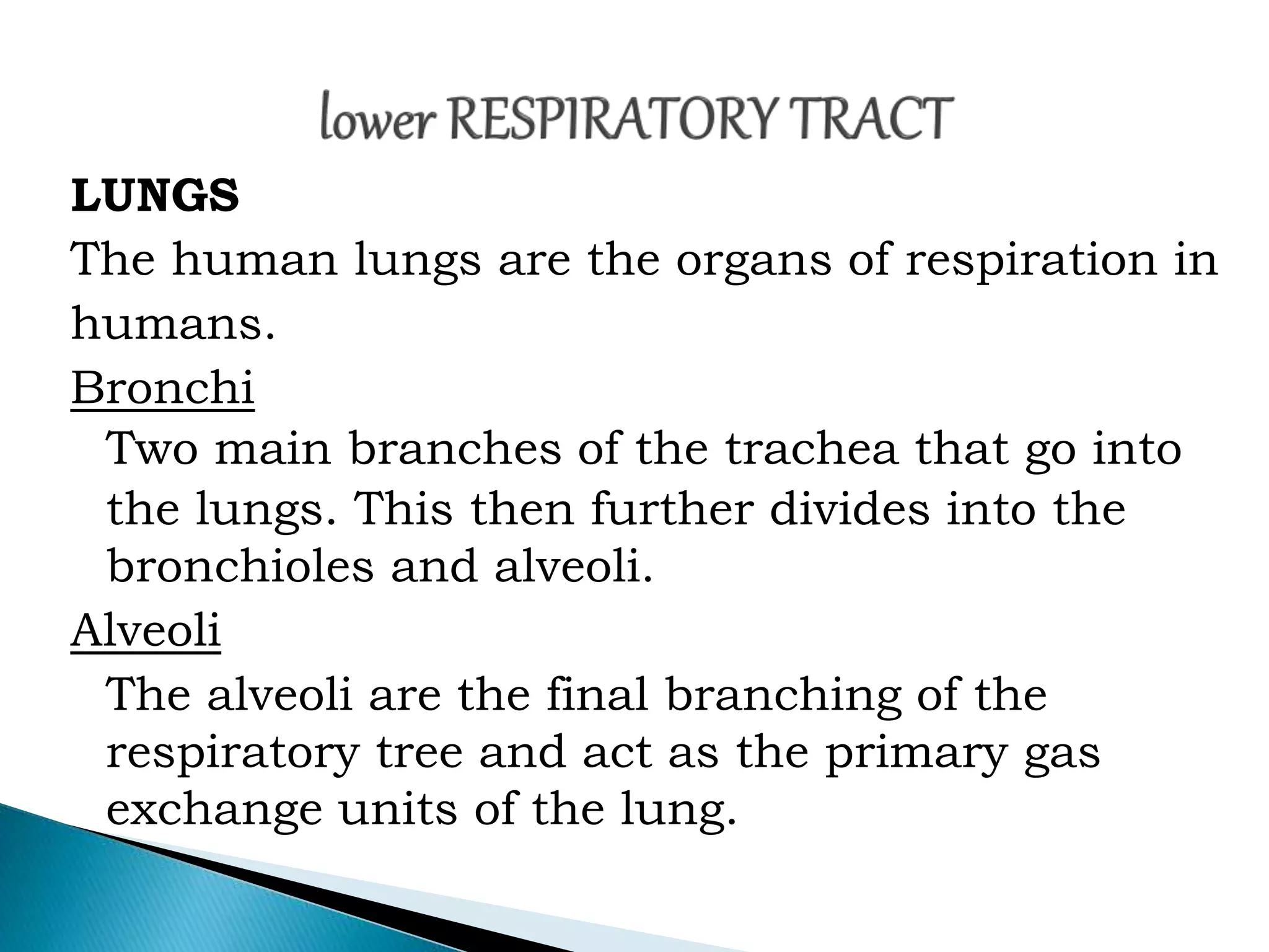 Respiration ppt | PPTX