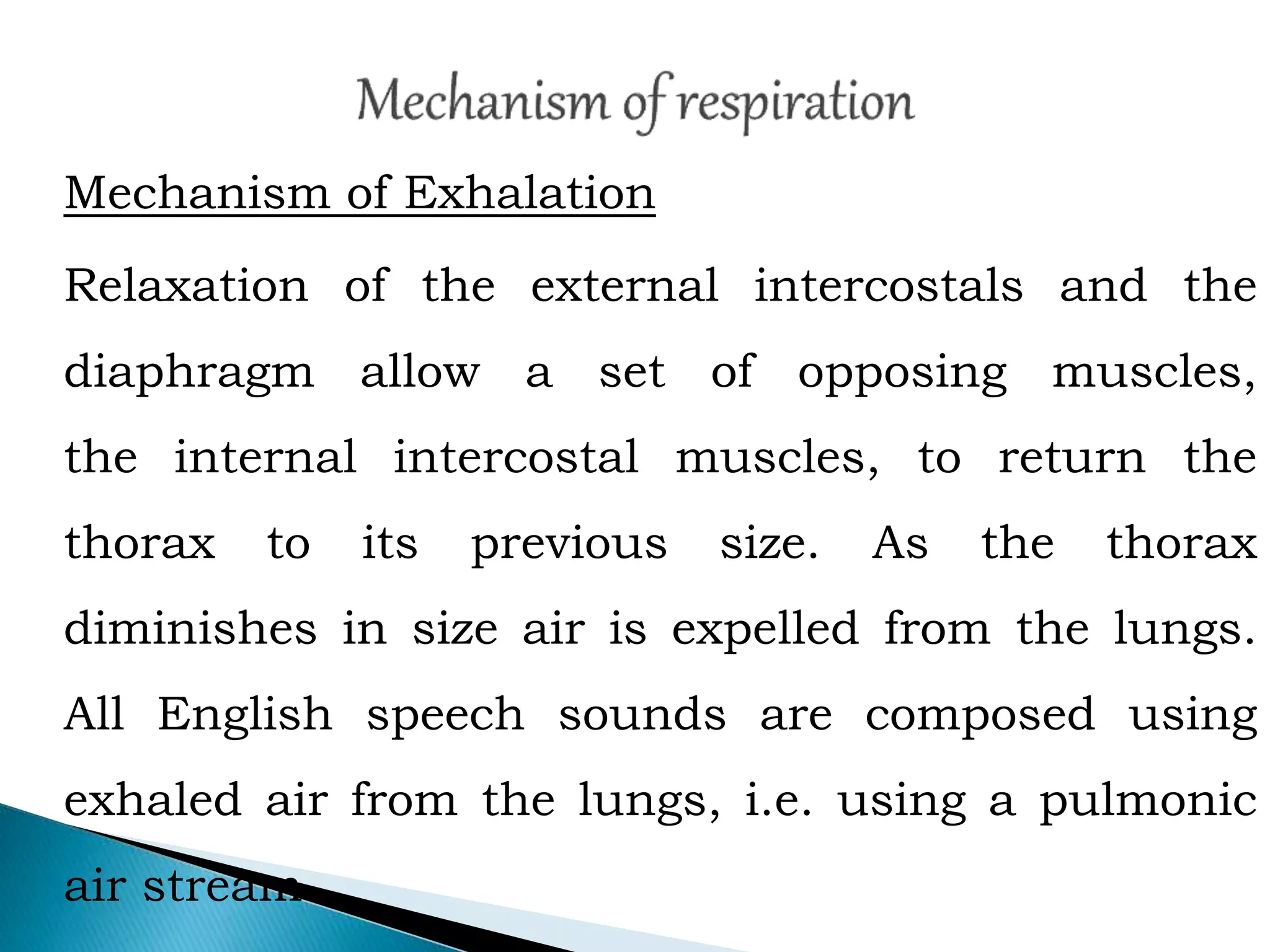 Respiration ppt | PPTX