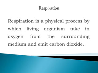 Respiration ppt | PPT