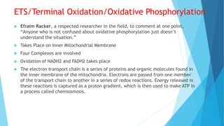 Respiration by Mr. K. S. Sontakke | PPTX