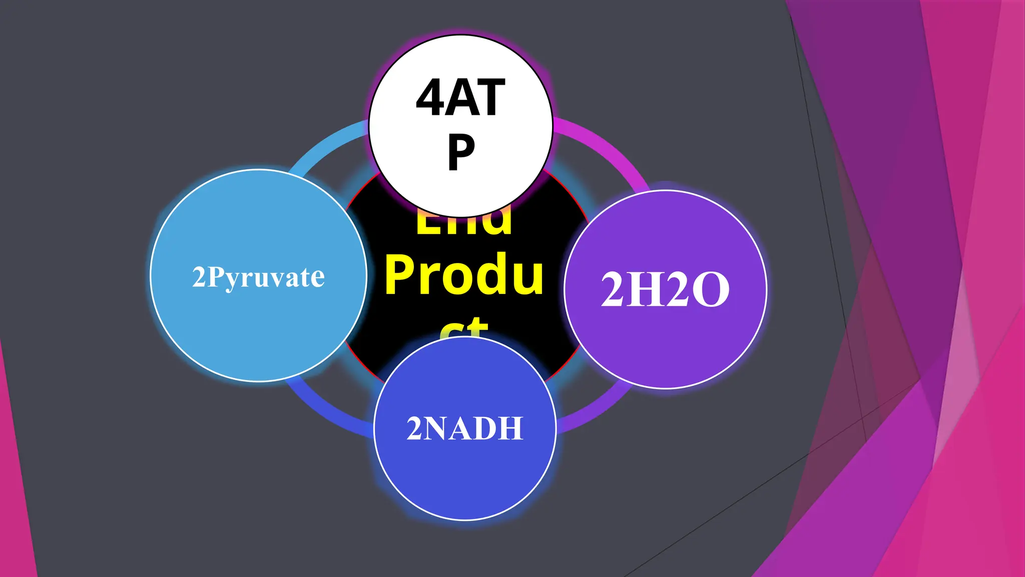 respiration ppt by Adnan (31).pptx bs microbiology | PPT