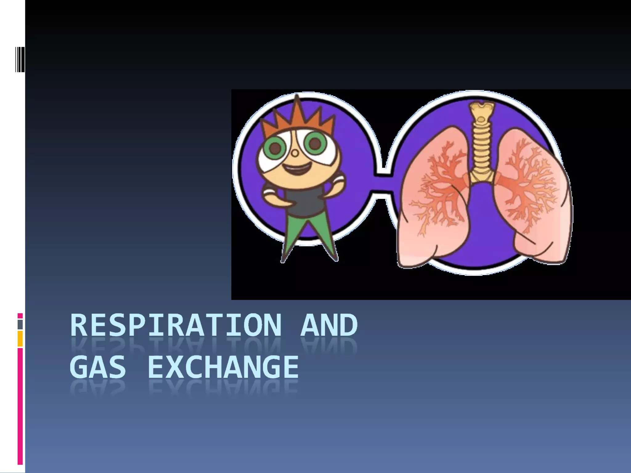 Respiration presentation | PPT