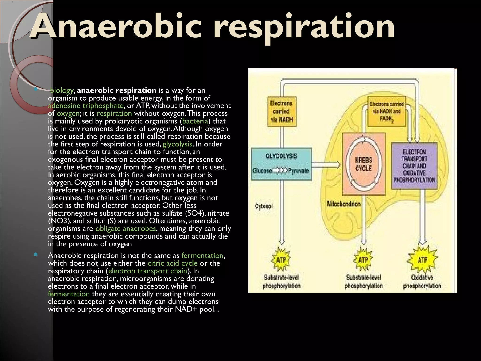 Respiration presentation | PPT