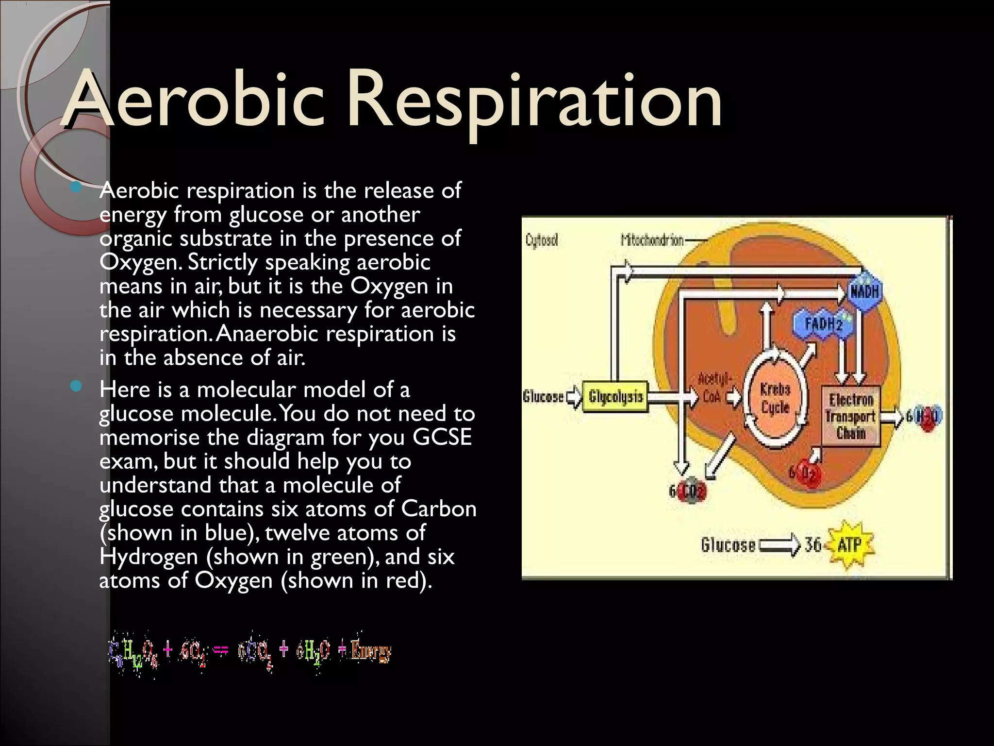 Respiration presentation | PPT