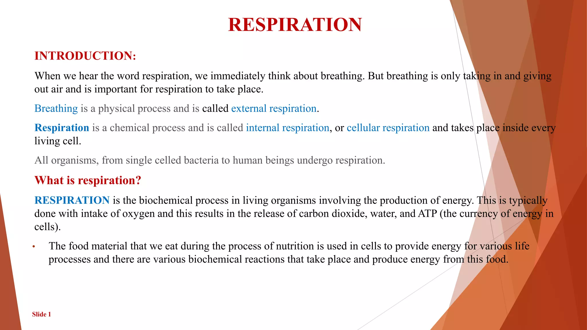respiration presentation by DrPriyam .pdf