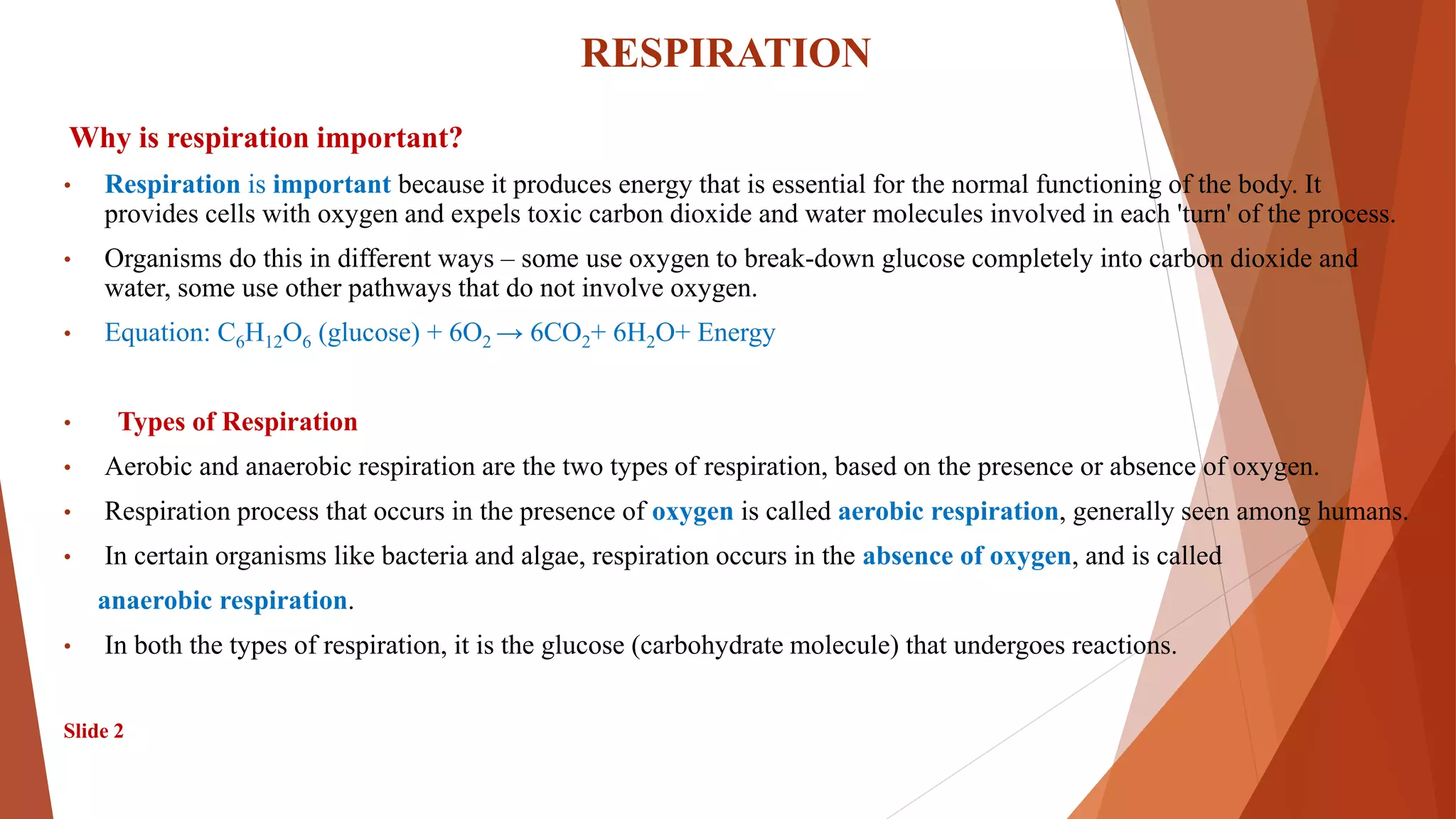 respiration presentation by DrPriyam .pdf