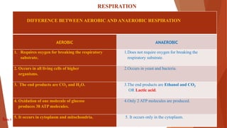 respiration presentation by DrPriyam .pdf