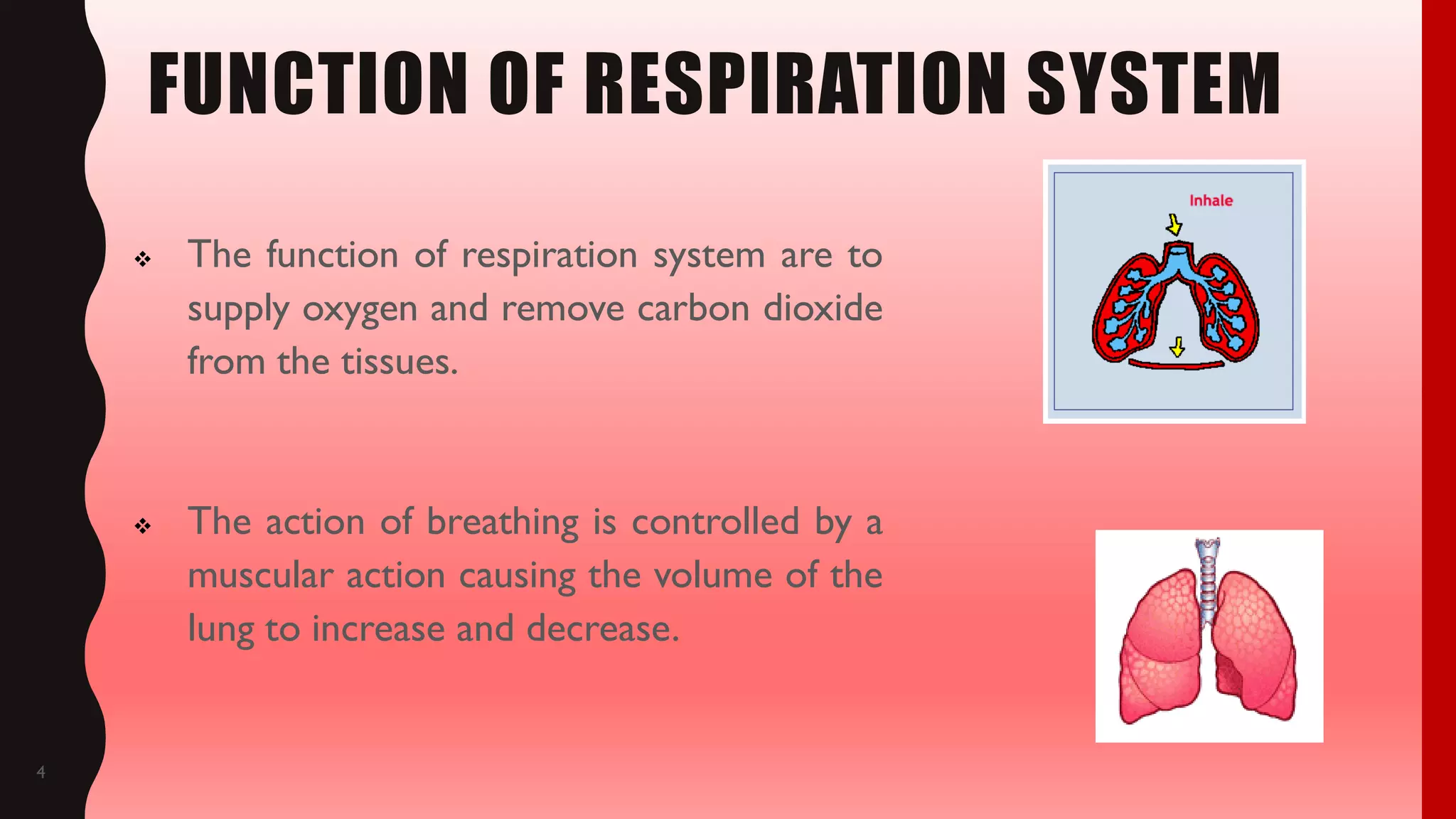 Respiration rate measurement | PDF