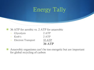 Respiration stage 2 | PPT