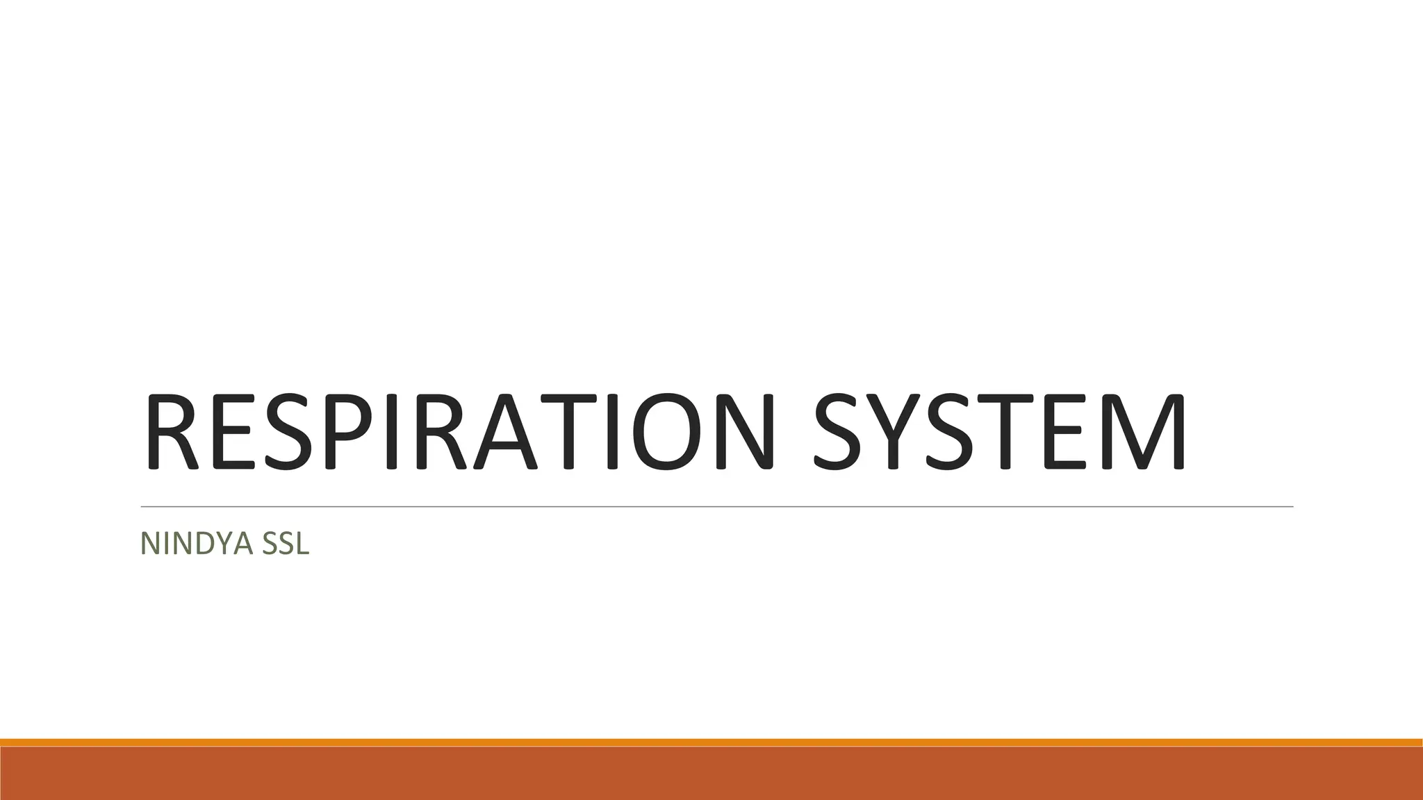 POWERPOINT SISTEM RESPIRASI PADA MANUSIA | PPTX