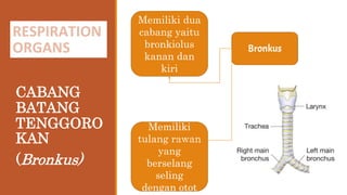 POWERPOINT SISTEM RESPIRASI PADA MANUSIA | PPTX