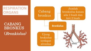POWERPOINT SISTEM RESPIRASI PADA MANUSIA | PPTX