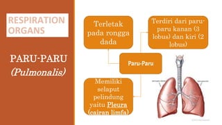 POWERPOINT SISTEM RESPIRASI PADA MANUSIA | PPT