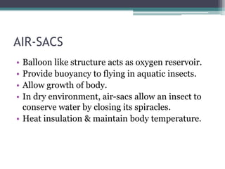 Respiration system in insects | PPTX