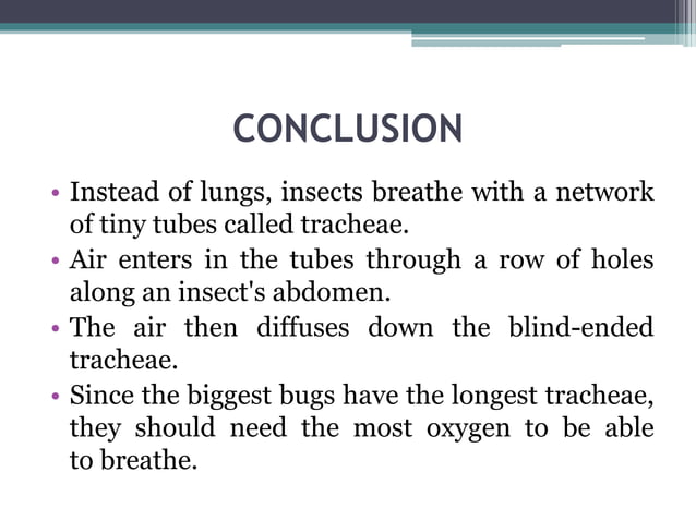 Respiration system in insects | PPTX