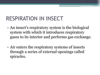 Respiration system in insects | PPTX