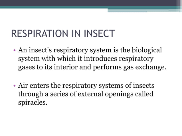 Respiration system in insects | PPTX