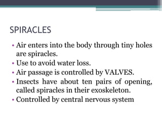 Respiration system in insects | PPTX