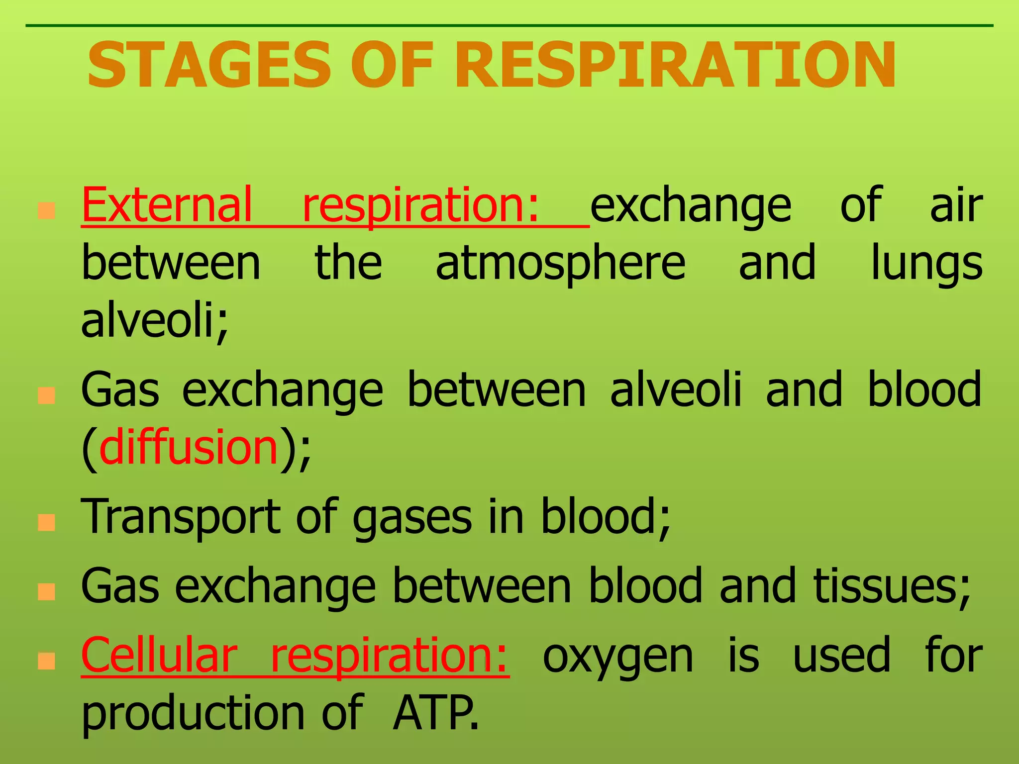 Respiration (Tetyana ma'am) Physiology.ppt | Lung and Respiratory ...