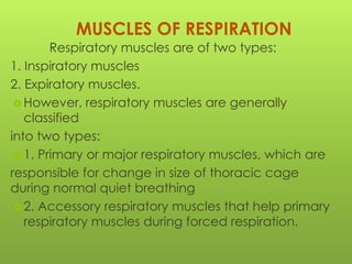 Respiration (Tetyana ma'am) Physiology.ppt