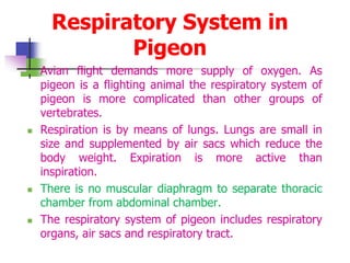 Respiration theory class lecture.ppt