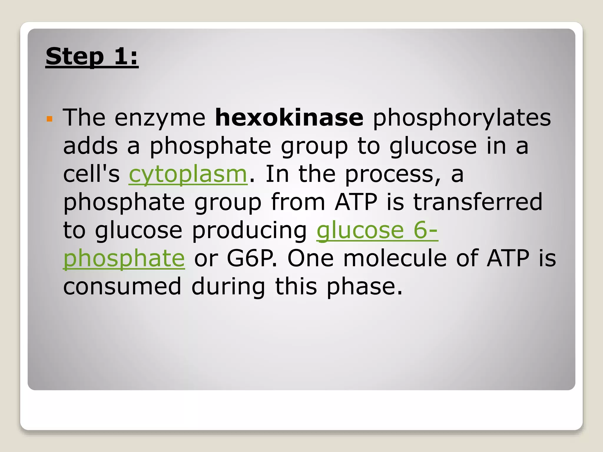 Respiration, types of respiration | PPTX