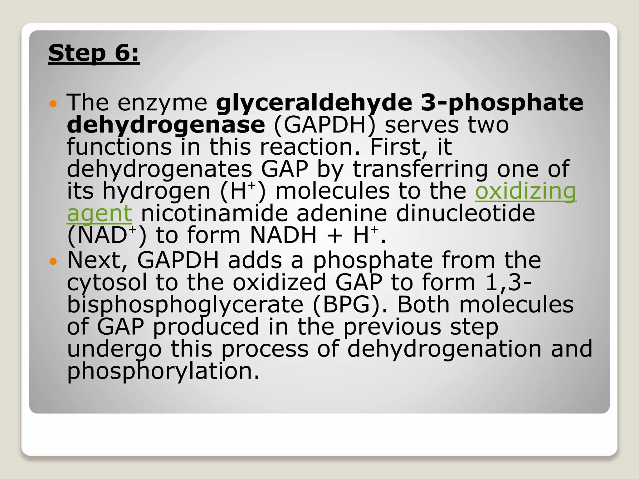 Respiration, types of respiration | PPTX