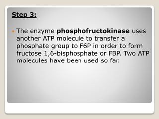 Respiration, types of respiration | PPTX