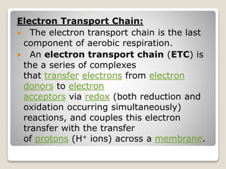 Respiration, types of respiration | PPTX