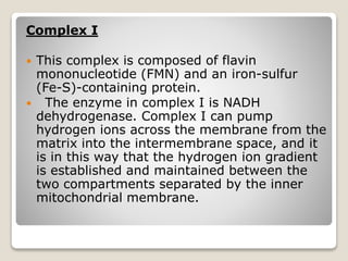 Respiration, types of respiration | PPTX