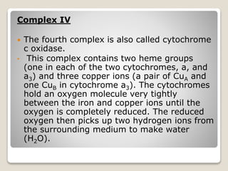 Respiration, types of respiration | PPTX